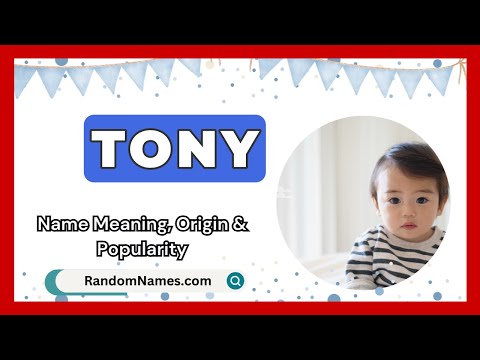 Tony - Baby Boy Name Meaning, Origin & Popularity - RandomNames.com