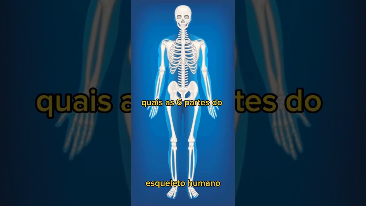 QUAIS AS 6 PARTES DO ESQUELETO HUMANO