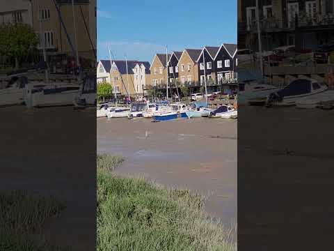 Crazy Tide in the UK