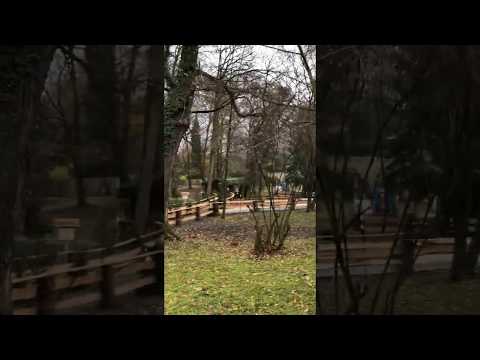 Entering Thurn & Taxis Palace Christmas Market