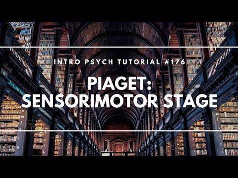 Cognitive Development: Sensorimotor Stage (Intro Psych Tutorial #176)