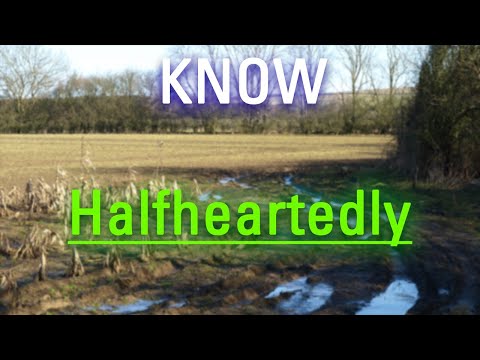How to Say Halfheartedly in English? | What is Halfheartedly? | How Does Halfheartedly Look?