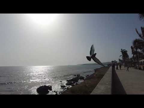 Gran Canaria..Meine Geschichte 5
