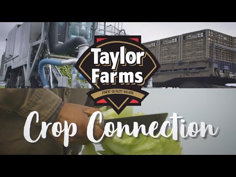 TF 2020 CROP CONNECTION - JUNE: COMMITMENT TO FOODSERVICE
