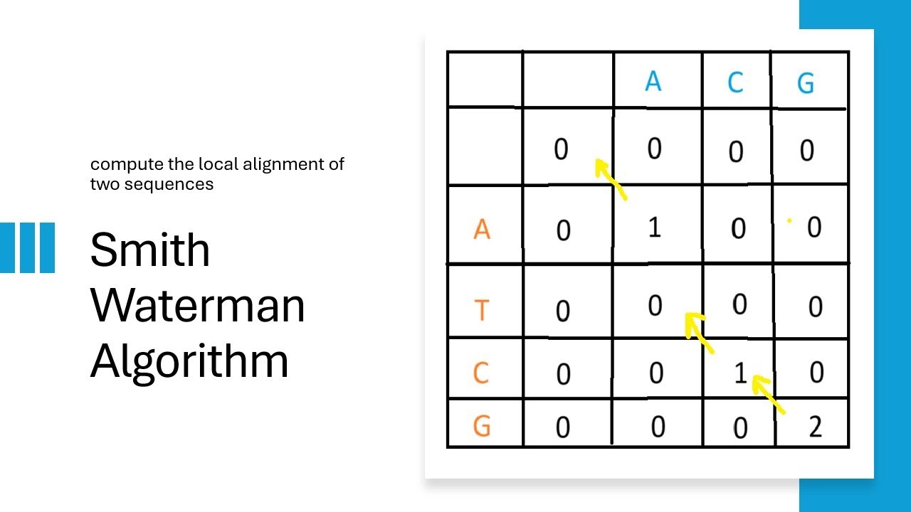 Smith-Waterman Algorithm: Local Sequence Alignment Made Easy! (With Example)
