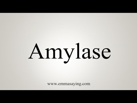 How To Say Amylase