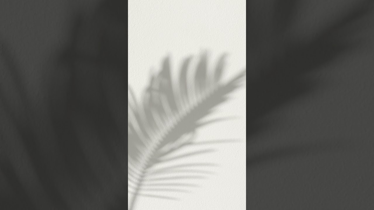 A Shadow of a Palm Leaf