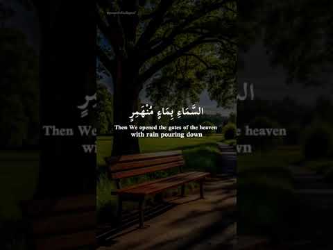 قران كريم بصوت اسلام صبحي ايات من سورة القمر