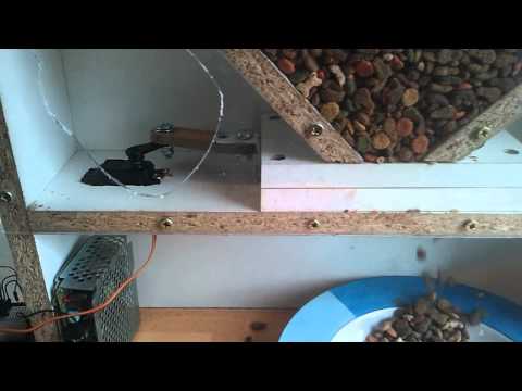 Automated Cat Feeder With A View | Hackaday