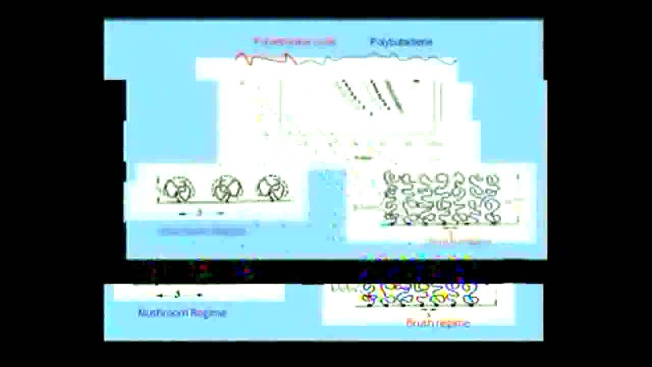 Polymers in solution and at interface