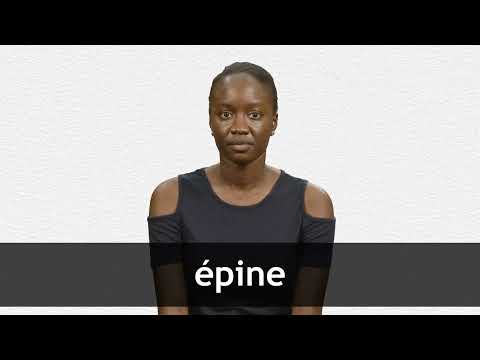 English Translation of “ÉPINE” | Collins French-English Dictionary