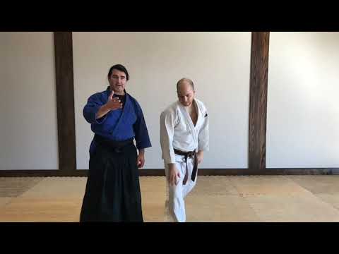 The Difference Between Basic Framework Aikido & Practical Use