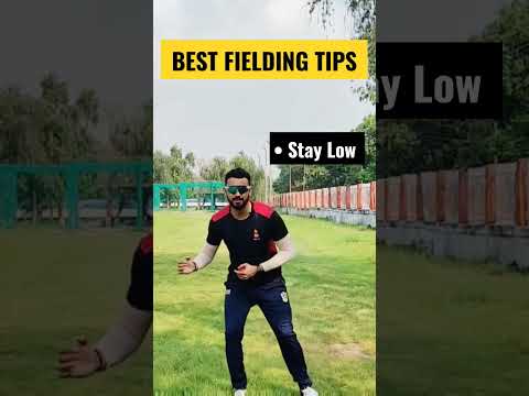 Best Fielding Tips???? How to Become a Brilliant Fielder ✅ #shorts #youtubeshorts #cricket