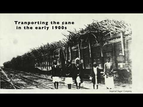 History of Convict Leasing in Fort Bend County