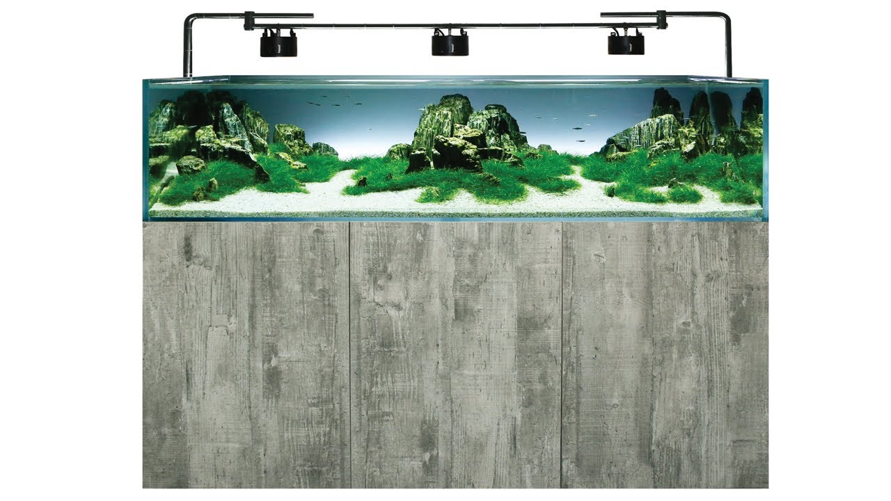 Evolution Aqua Aquascaper Aquarium