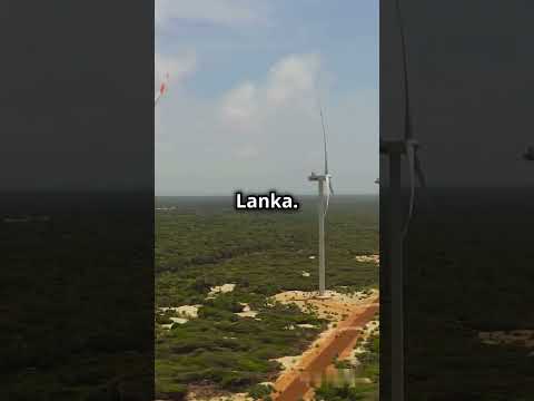 Sri Lanka's Big Wins: Cricket & Controversies!