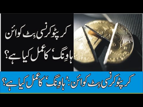 What is Cryptocurrency in Urdu | What is Bitcoin Halving in Urdu | Reality Voice Tv