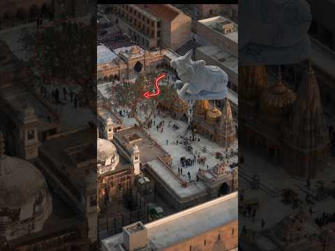 Kashi vishwanath mandir aur gyanvapi masjid vivad #shorts #facts