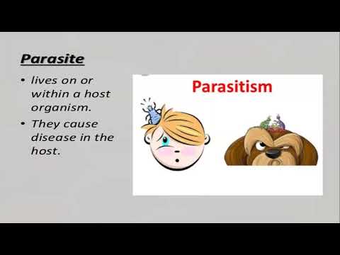 host and parasite relation ship