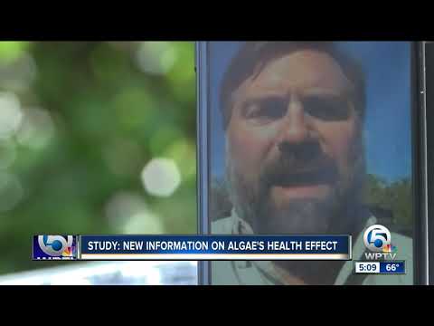 Study: New information on algae's health effect