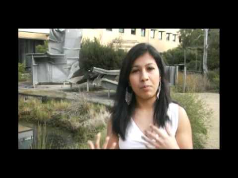 Computer Science and Software Engineering Faculty of Information Technology - Monash University