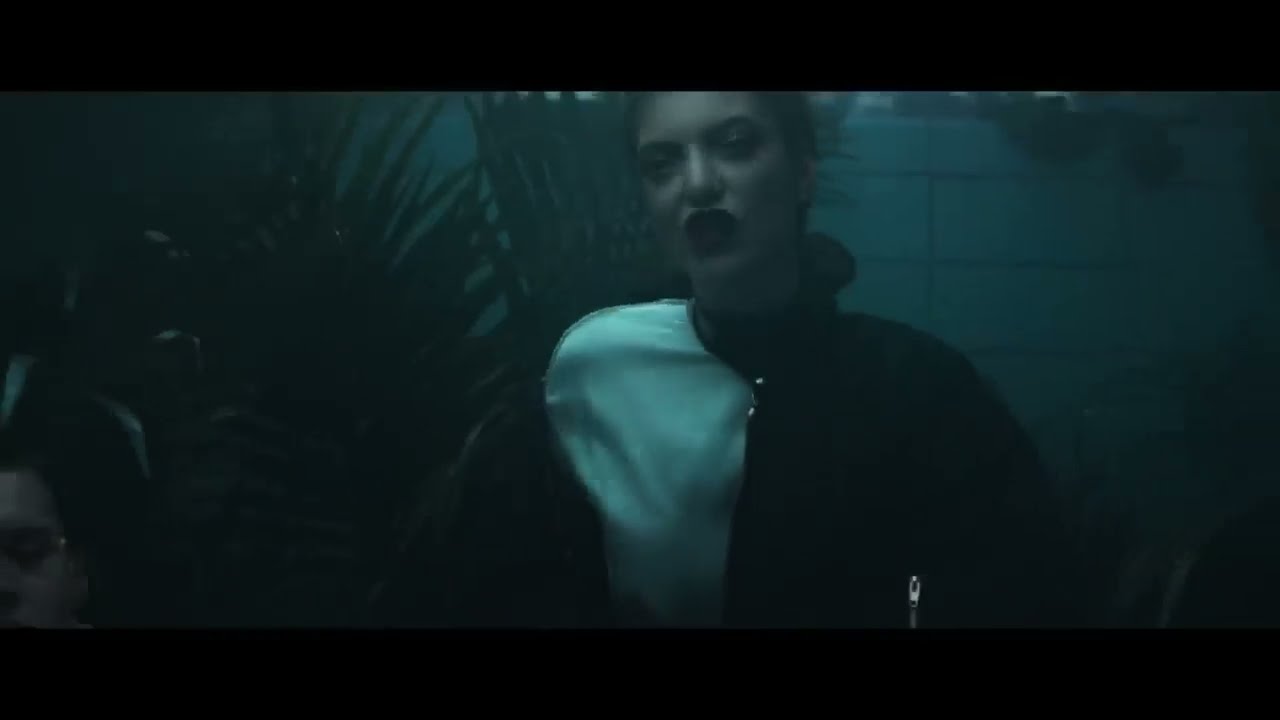 Lorde - Team Lyrics And Videos