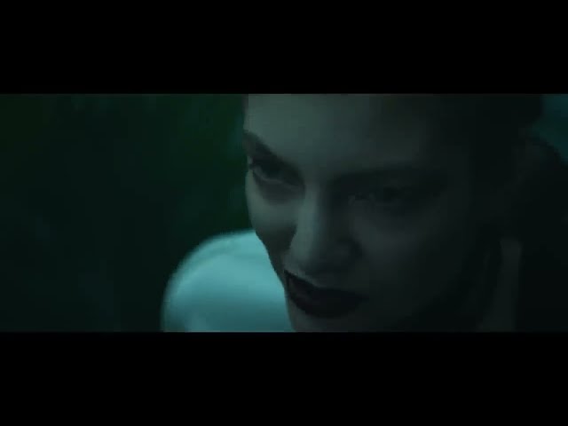 Lorde - Team Lyrics And Videos