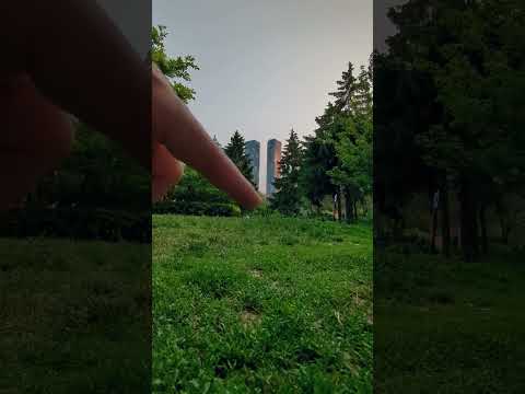 Take BETTER PHOTOS ???? with ANY camera!
