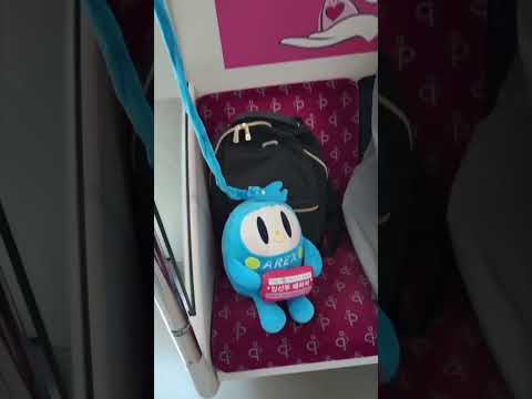 What is the pink seat mean in Korea?