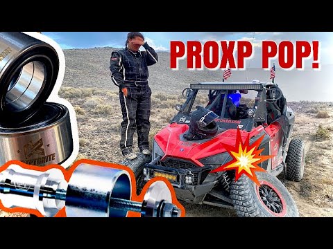 Dreaded RZR ProXP POP! - The Ultimate Kryptonite Products Fix