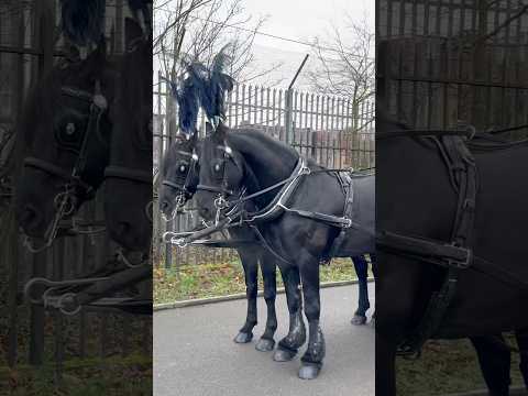 Filming a moving burial service in beautiful city of London Cemetery 🙏🏻 rest in peace David ✨