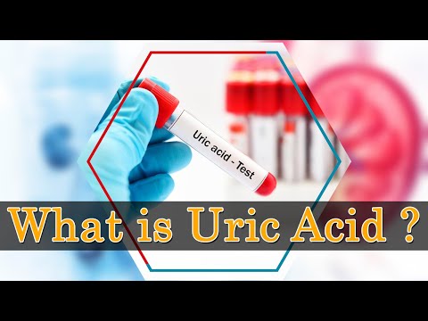 Karma Ayurveda explains Uric Acid impact on Kidneys | Karma Ayurveda Hospital