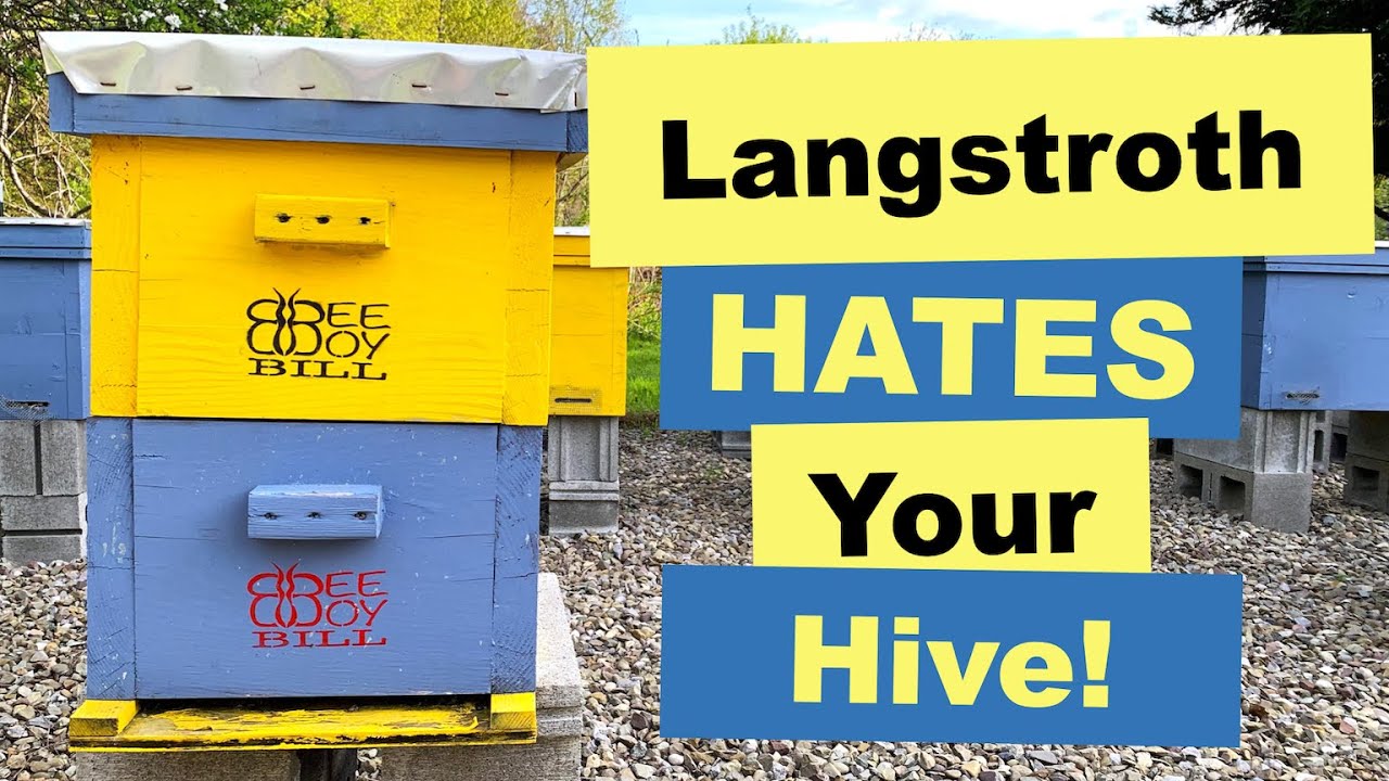 Rev. Langstroth HATES Your Hive | Langstroth VS Layens Q & A