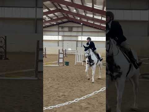 Ayla’s horse show at Camelot Farms - Jan 19 2025