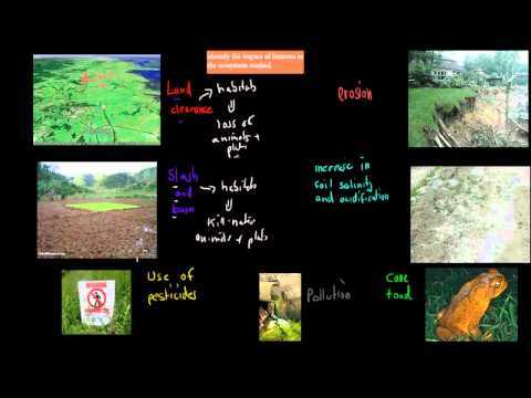 11. Human impact on environment (Preliminary biology)