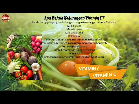 10 Makanan Mengandung Vitamin C Tinggi Dan Membantu Memenuhi Asupan Gizi