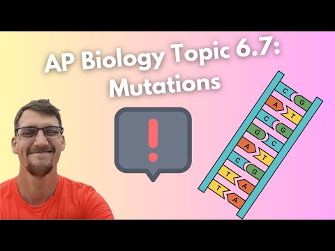 6.7 Mutations - AP Biology