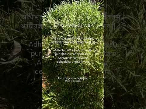 Bhagavad Gita Chapter 8 verse 4 | Who Lives in the Body? | Cosmic Secrets Revealed | Just Sudha Gyan