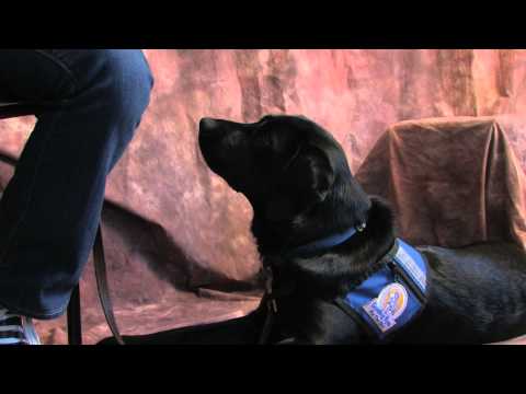 Life at Wooster: Guiding Eyes for the Blind