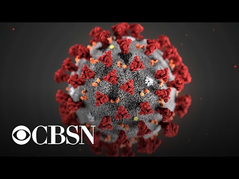 Daily coronavirus deaths may double by June, report says