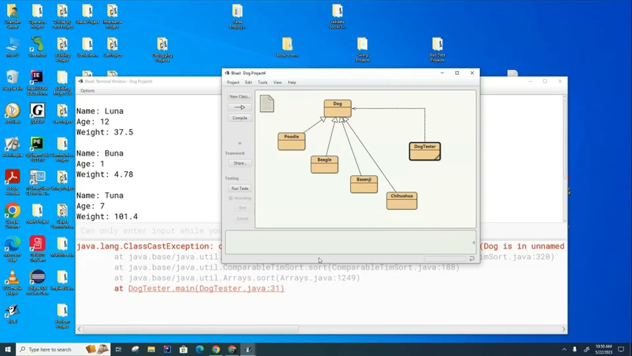 CSA 098: Java Comparable Interface Part 1