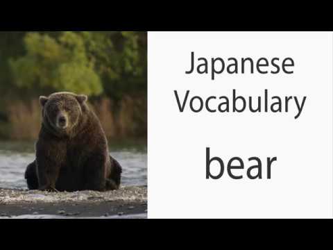 How to say "Bear" in Japanese