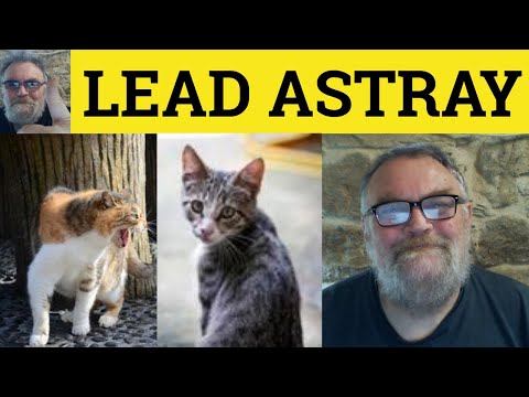 π΅ Lead Astray Meaning - Lead Astray Definition - Led Astray Examples - Lead Astray - Phrasal Verbs