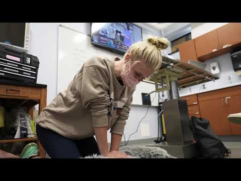 Animal Science Visits Alfred State