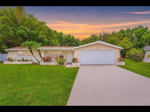 5102 Peacock Dr, Holiday, FL 34690 - Michael Lopez, PA Master Realtor - MLS TB8396713