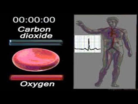 what is hemoglobin levels Hgb test anemia