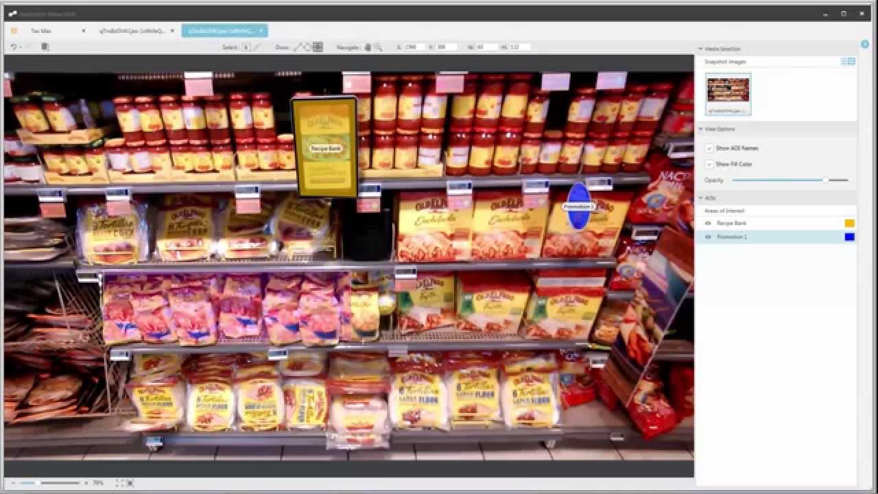 Tobii Glasses Analysis Software