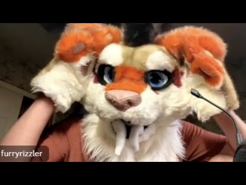 Packgod vs Furry Discord Server