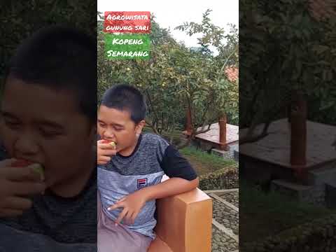 Agrowisata Gunungsari Kopeng Semarang short #short #wisata #jalanjalan #cintajalanjalan