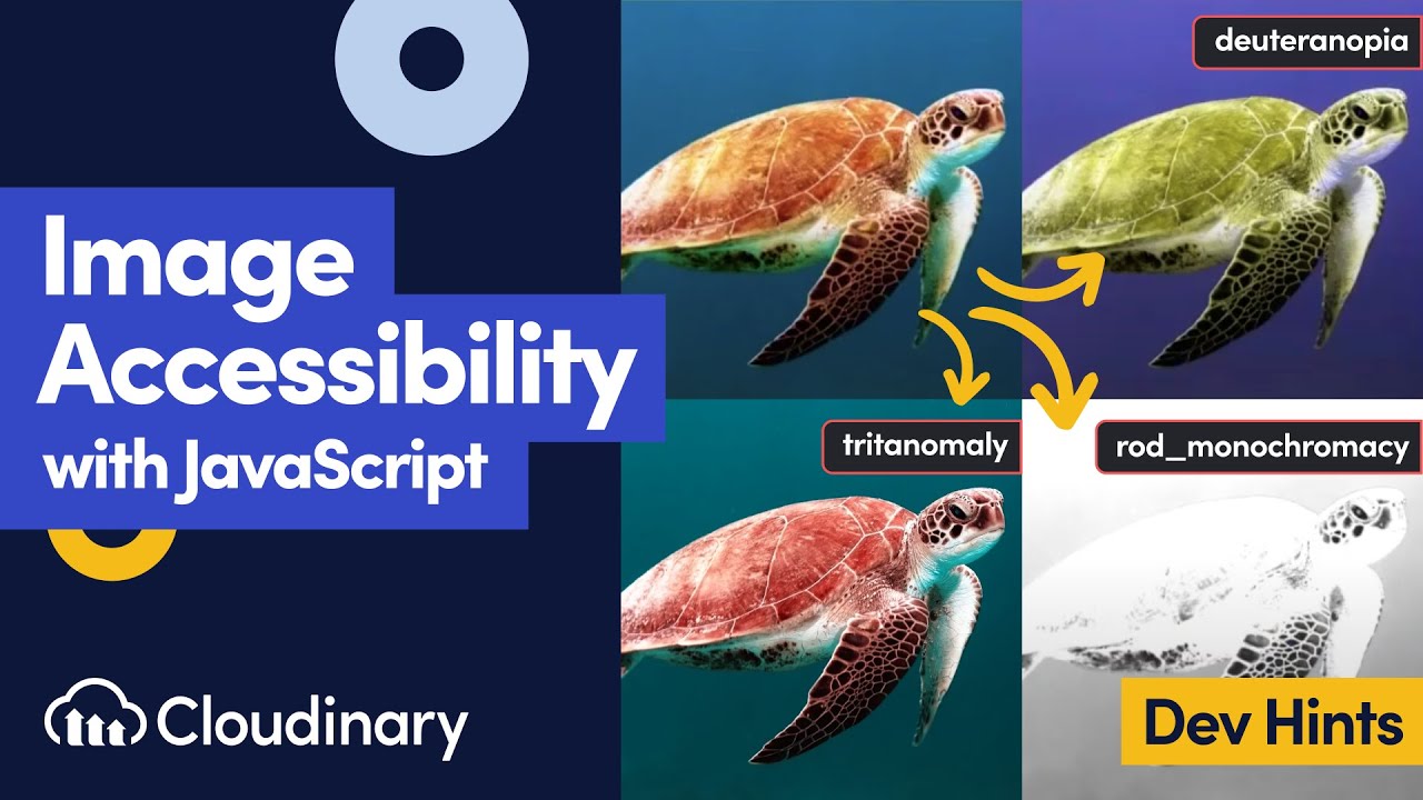 Accessibility Analysis & Color Blind Image Converter in JavaScript with Cloudinary - Dev Hints